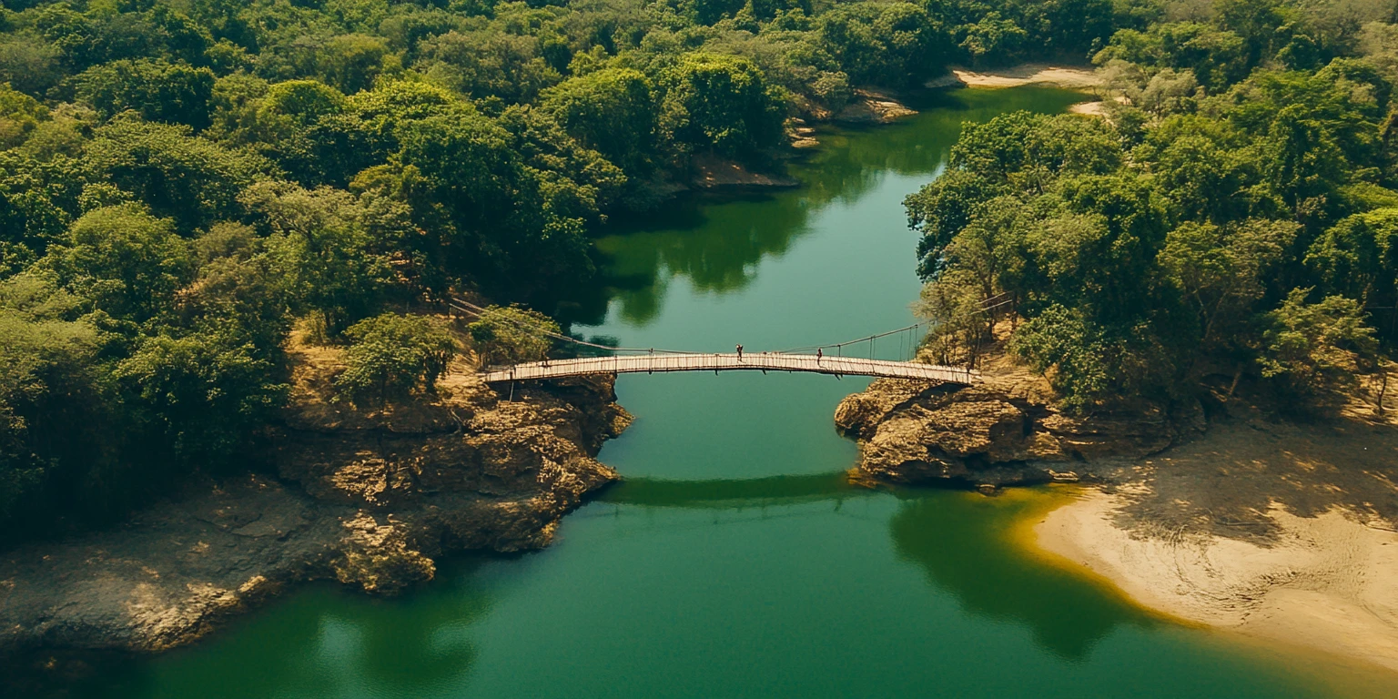 Can a Wildlife Bridge Reconnect Habitats Split by U.S. Highway 101 ...